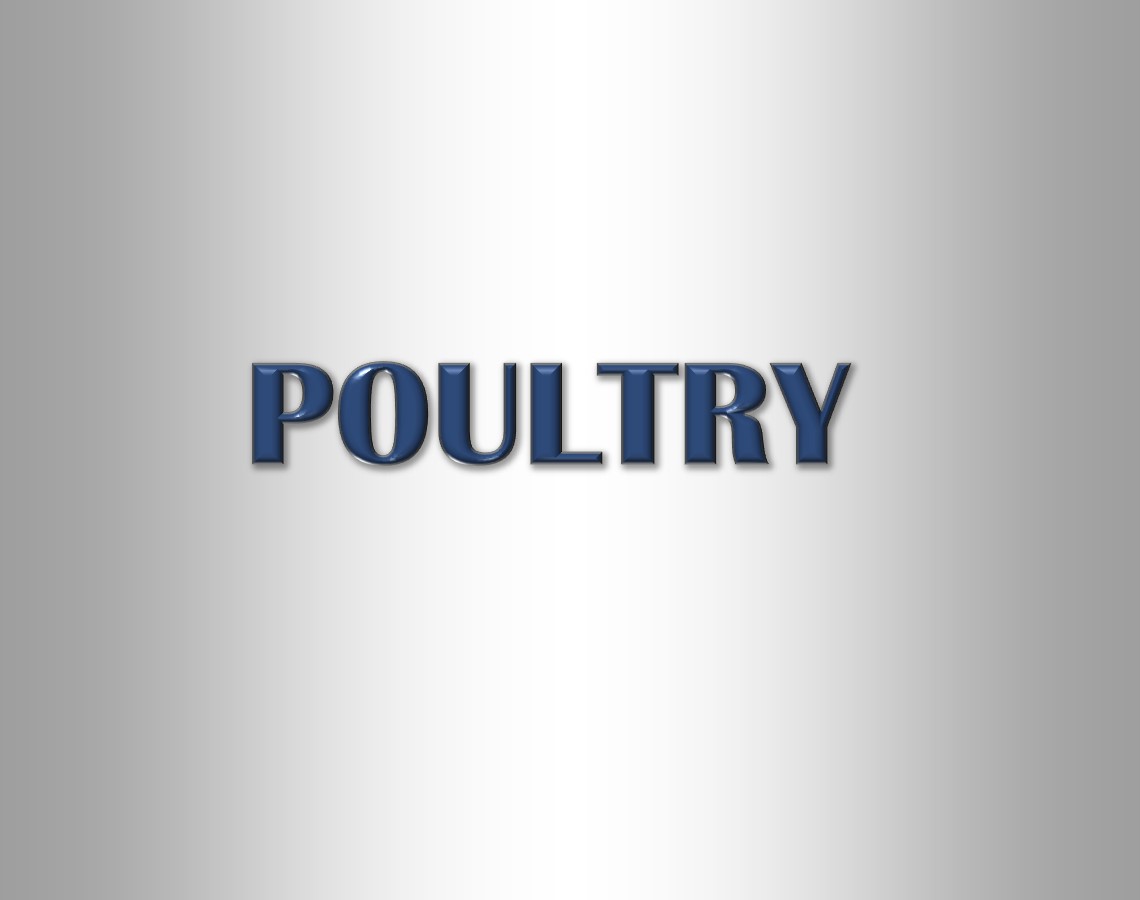 POULTRY - 50+ Activity Centre